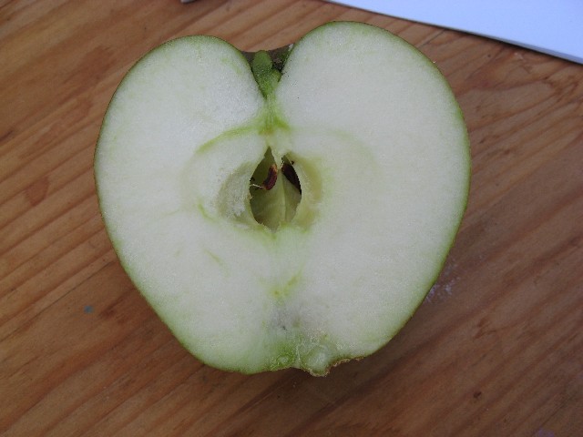 Appelweek bij Wateetons – 2. Determineren | Wateetons