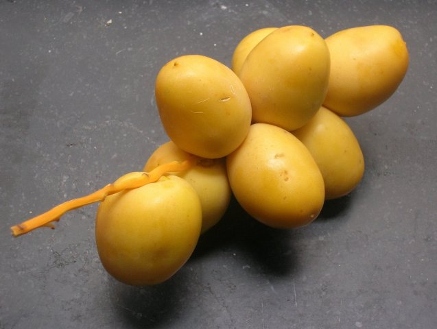 Ik heb verse dadels | Wateetons